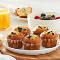 Freshness Guaranteed Blueberry Muffins 13.5 oz Clamshell 6 Count Moist ...