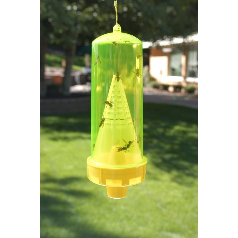 Yellow Jacket Trap