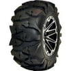 Maxxis MU09 Bighorn 2.0, Front AT25/8R12 C Tire - Walmart.com