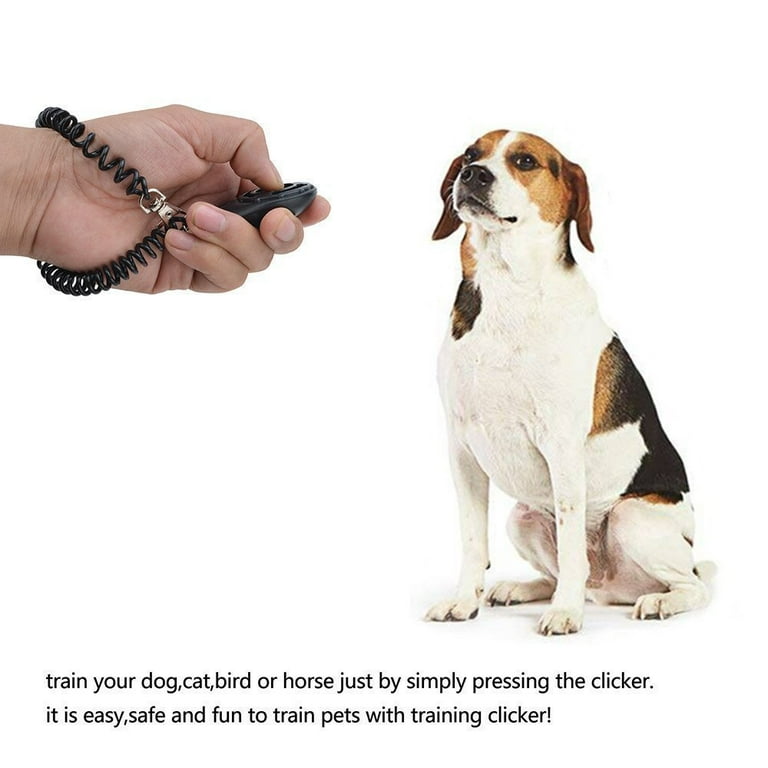 Are Clickers Bad Dog Training