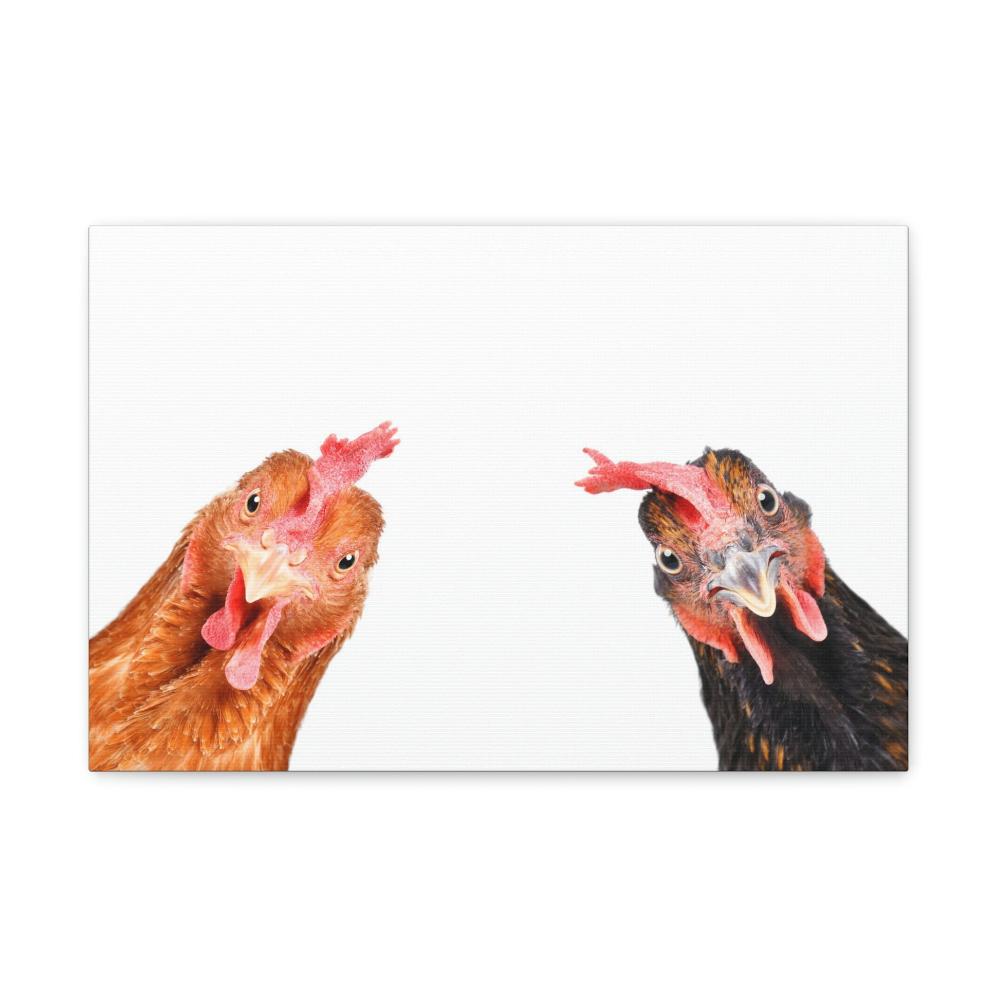 Funny Rooster Silly Rooster Couple Wall Art Ready to Hang Unframed ...