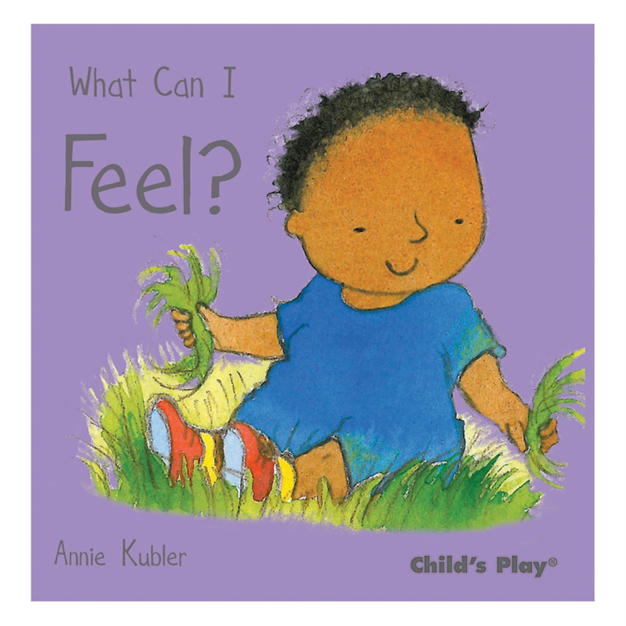 What Can I Feel? (Board Book) - Walmart.com