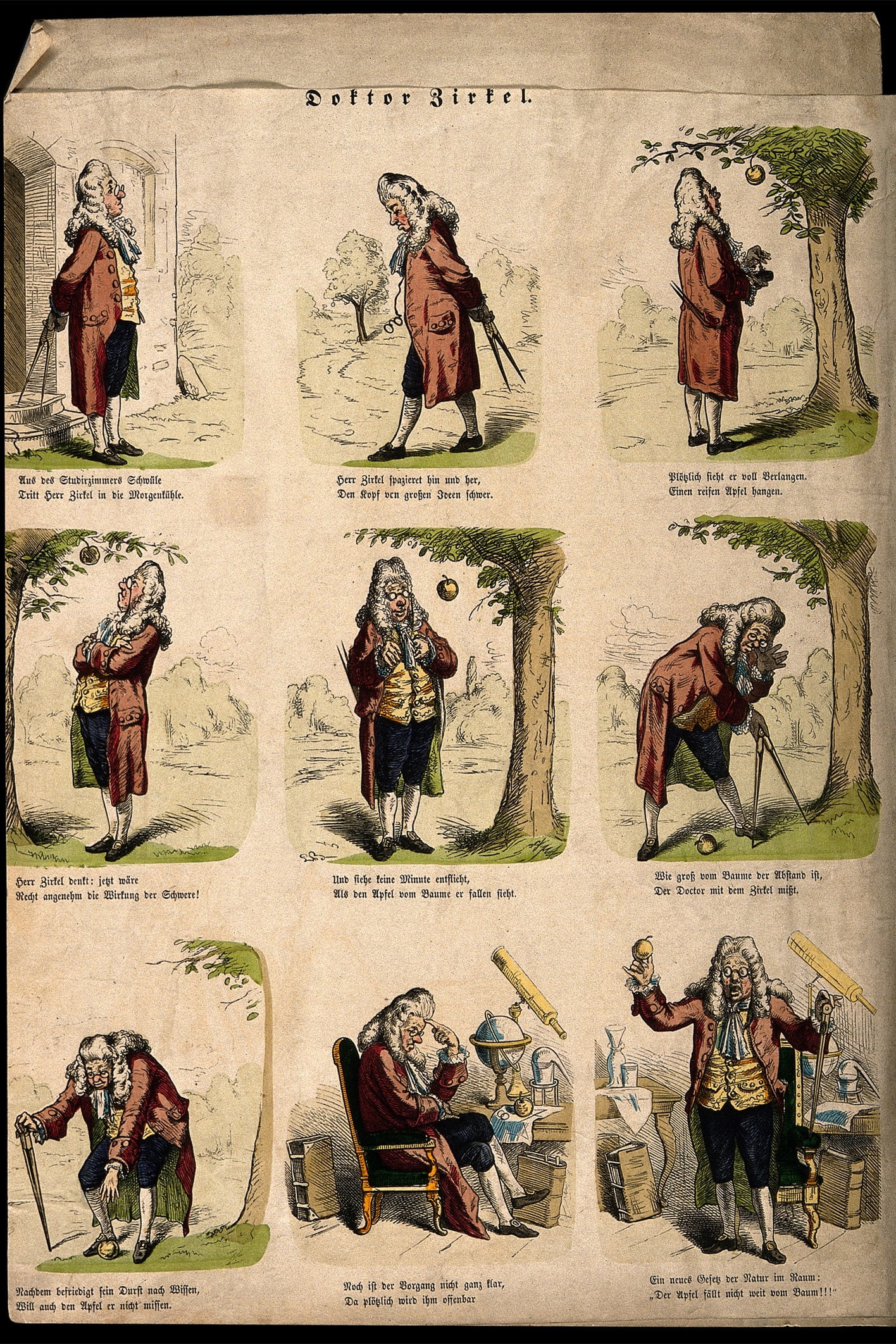 24x36 gallery poster, Isaac Newton's famous steps under the apple tree ...