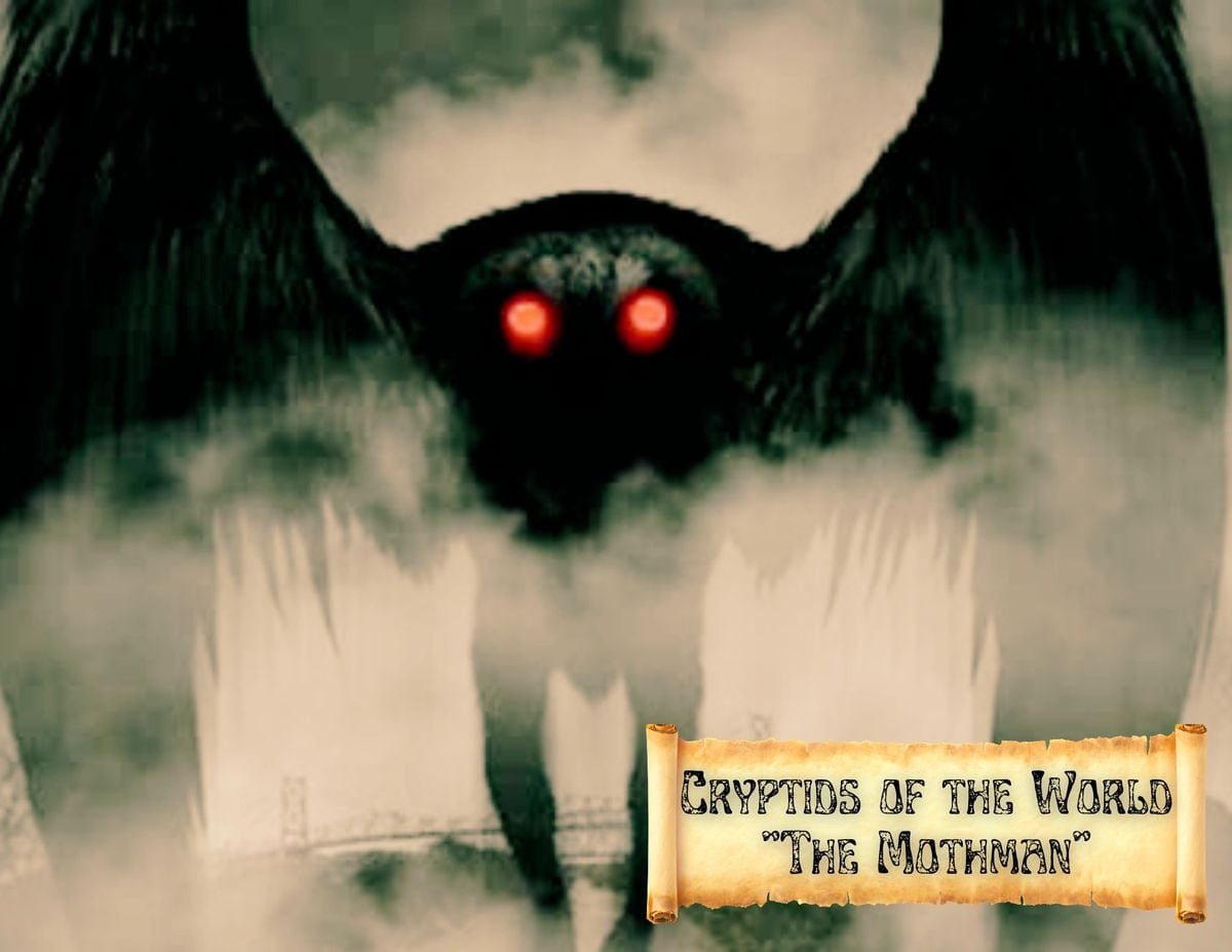Cryptids of the World - Mothman / Design by Big Bear Designs / made to ...