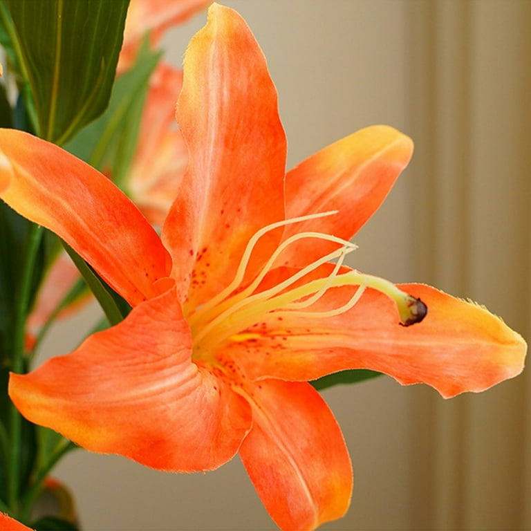 Orange Stargazer Lily Bouquet