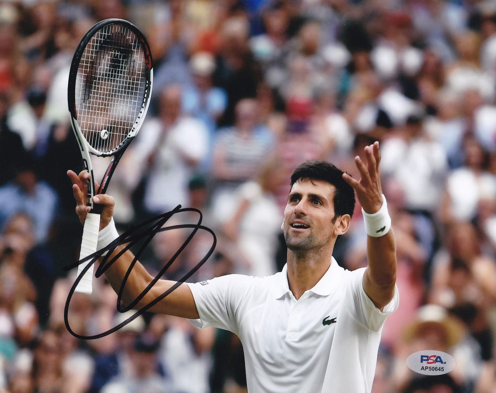 Novak Djokovic Tennis US Open Olympics Signed Autograph 8x10 Photo PSA ...