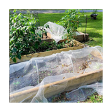 Garden Hoops for Netting, Crop Protection Hoops,Cloches Growing ...