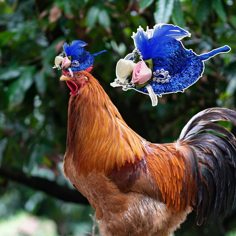 Decorative Roosters With Real Feathers | Shelly Lighting