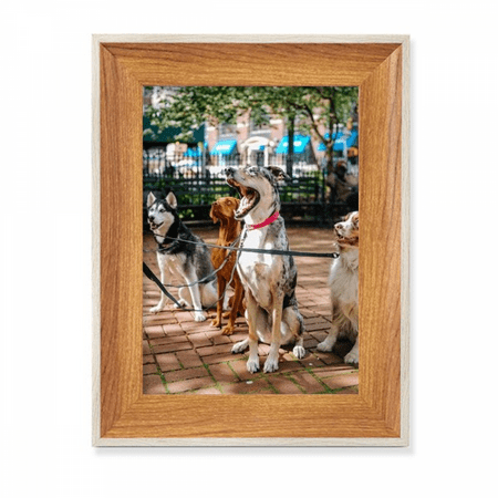 Handsome Dogs Pet Animal Picture Desktop Wooden Photo Frame Display ...