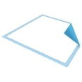 Underpad Chux 17 X 24 Inch Disposable Fluff / Polymer 100/case ...