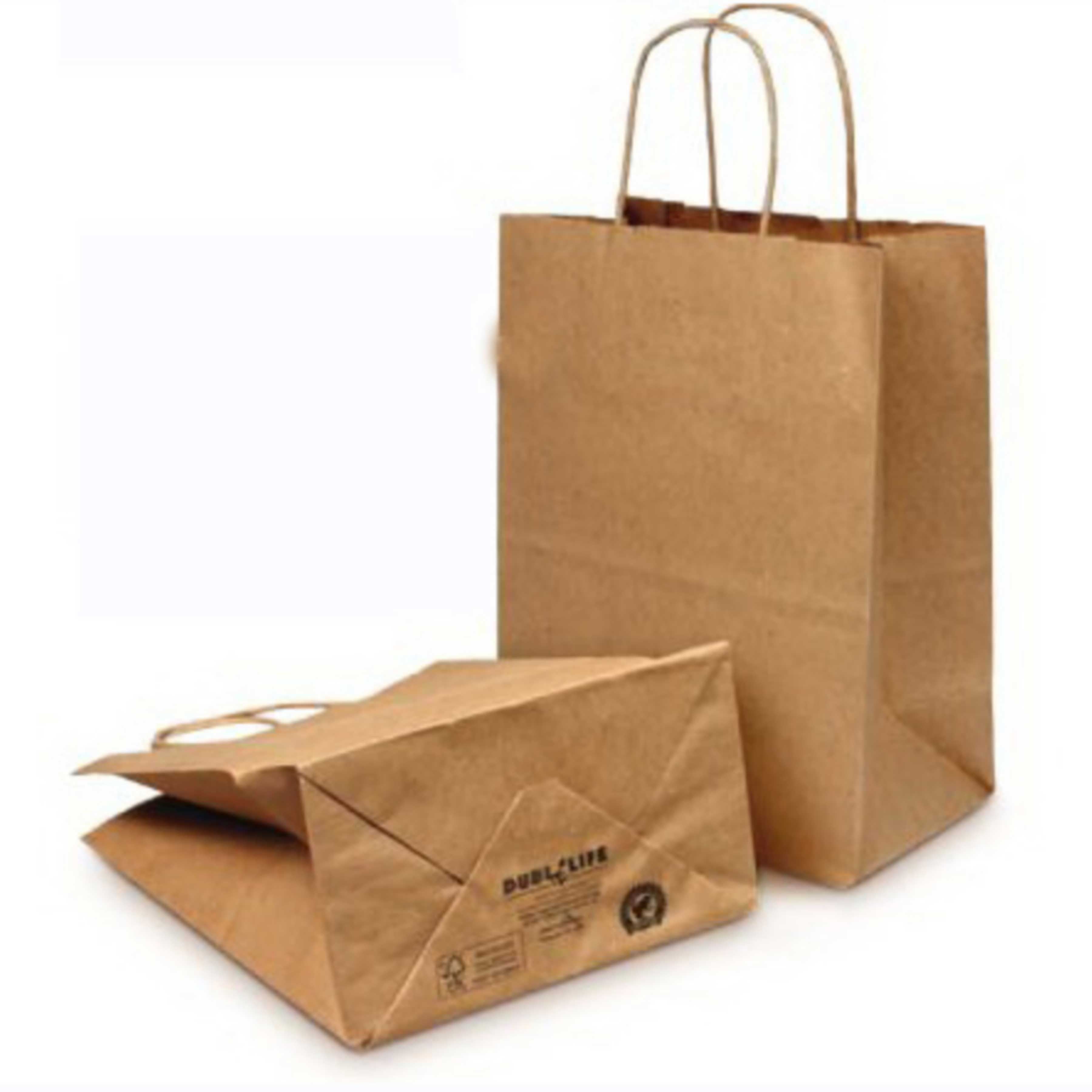 Duro Hilex Poly Bistro White Virgin Paper Shopping Bag with Rope Handle ...
