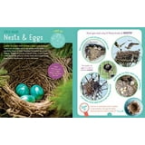 Backpack Explorer: Backpack Explorer: Bird Watch : What Will You Find ...