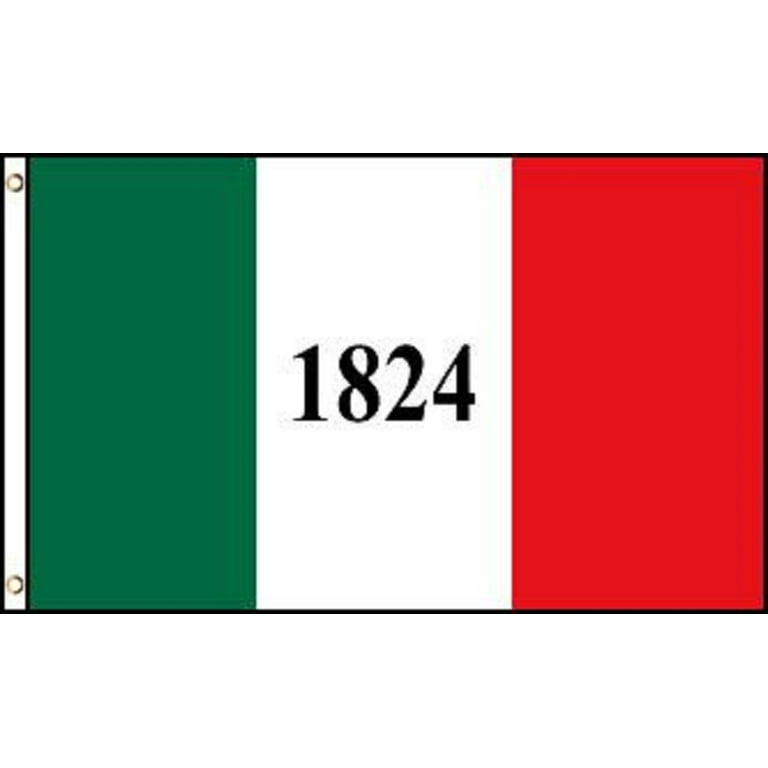 Alamo Fight With Flag