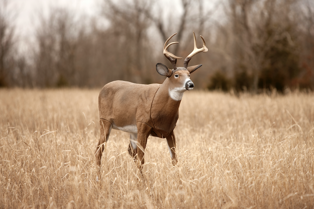 Flambeau Outdoors 5965MS Boss Buck - Masters Series Deer Decoy ...