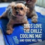 Chillz Dog Cooling Mat, Extra Large Size Cooling Mat for Dogs and Cats ...