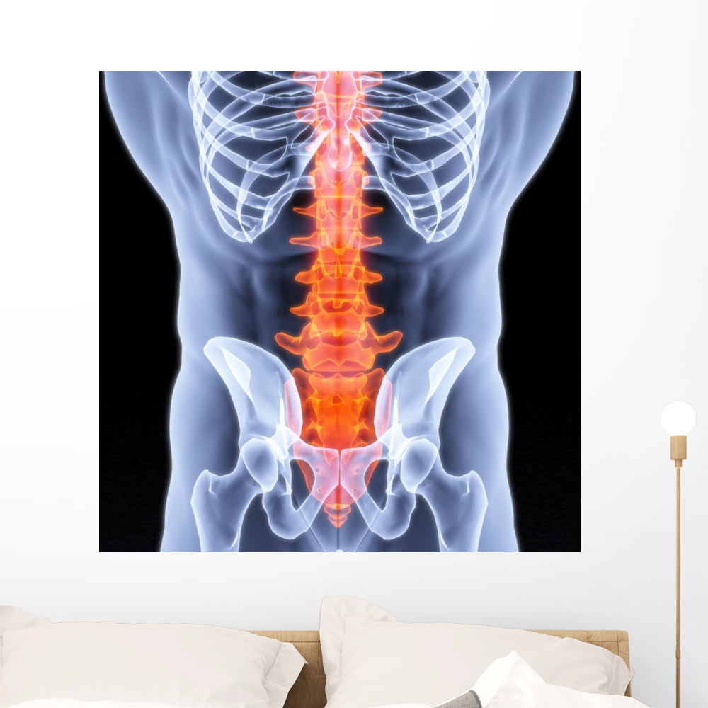 Spine Wall Mural by Wallmonkeys Peel and Stick Graphic (36 in H x 36 in ...