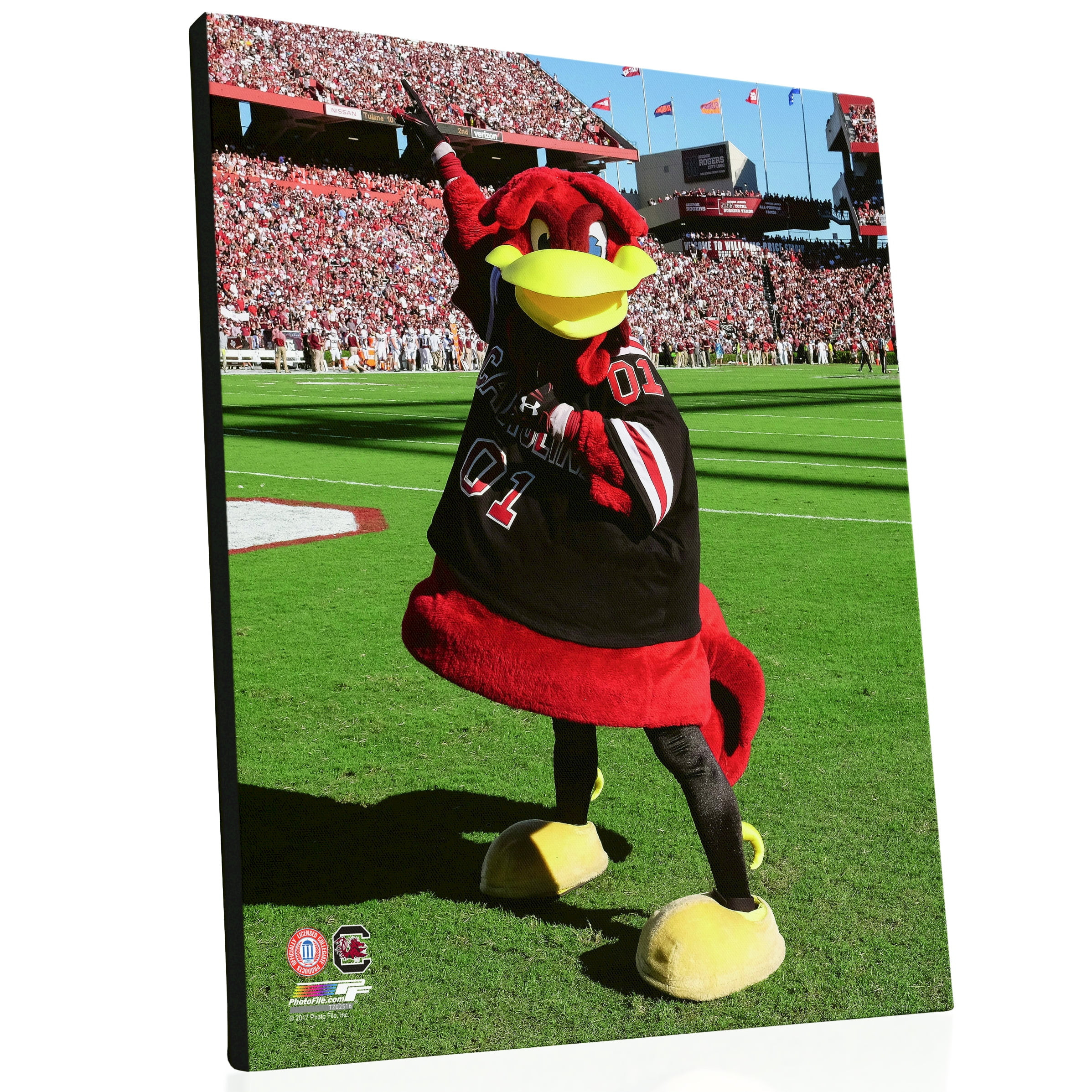 Cocky South Carolina Gamecocks Mascot 20"x24" Stretched Canvas ...