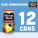 Minute Maid Fruit Punch Juice Drinks Variety, 12 fl oz, 12 Cans ...