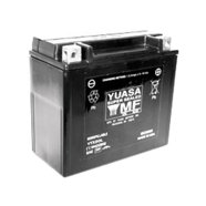 ACDelco Gold Professional AGM Automotive BCI Group 94R Battery 94RAGM ...