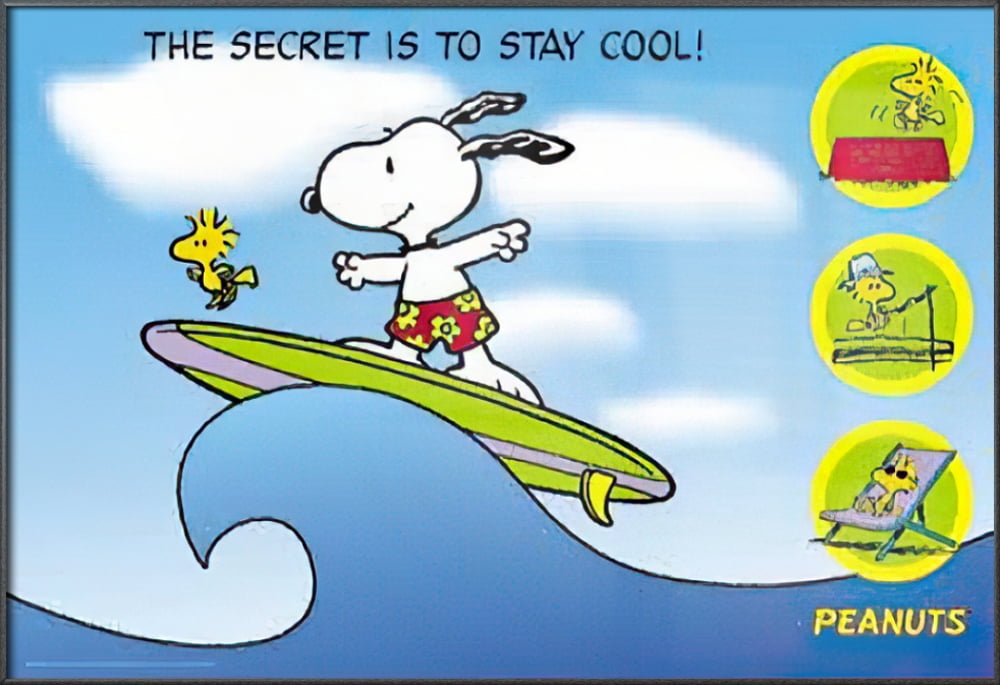 Peanuts - Framed TV Show Poster (Snoopy & Woodstock Surfing) (Size: 40 ...