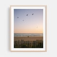 Atlantic Sunset - Tamraght Souss-Massa Morocco Photography Beach Sunset ...