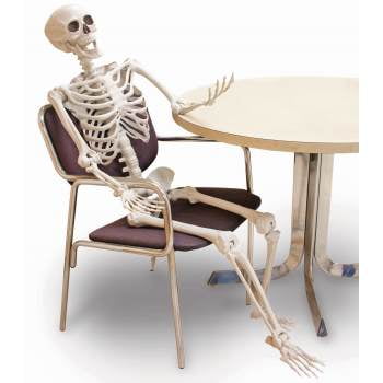 60" Posable Skeleton Halloween Decoration - Walmart.com - Walmart.com