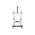 Free Shipping! Mobile TV Stand, Heavy Duty TV Cart for 60-100" Display ...