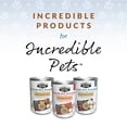 Dr. Pol Incredi-Pol Favorites Beef & Rice Canned Dog Food, 12.5oz ...