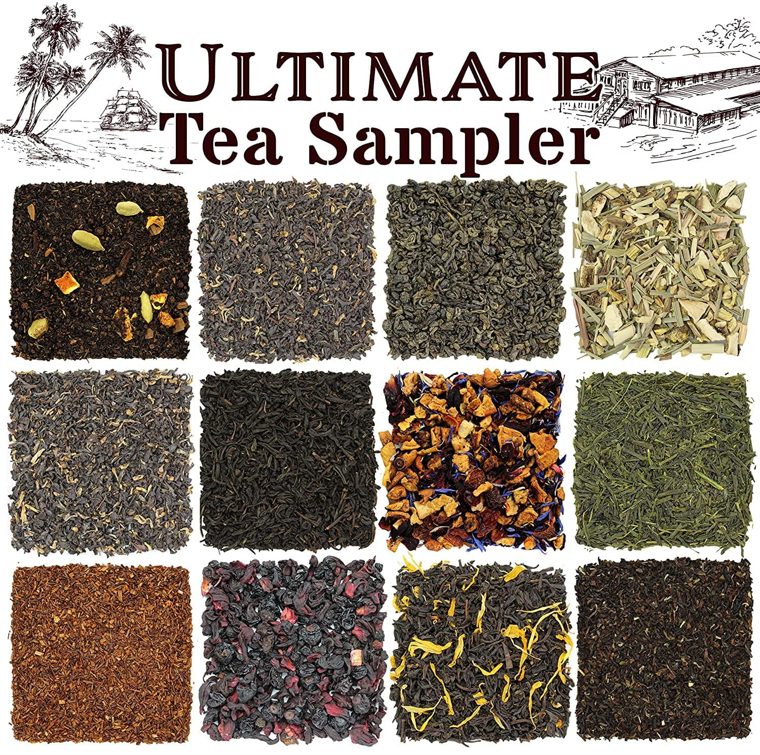 Solstice Loose Leaf Tea Ultimate Sampler Feat. 12 Teas; Approx 180 ...