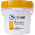 ProTeam Alkalinity Up (25 lb) - Walmart.com