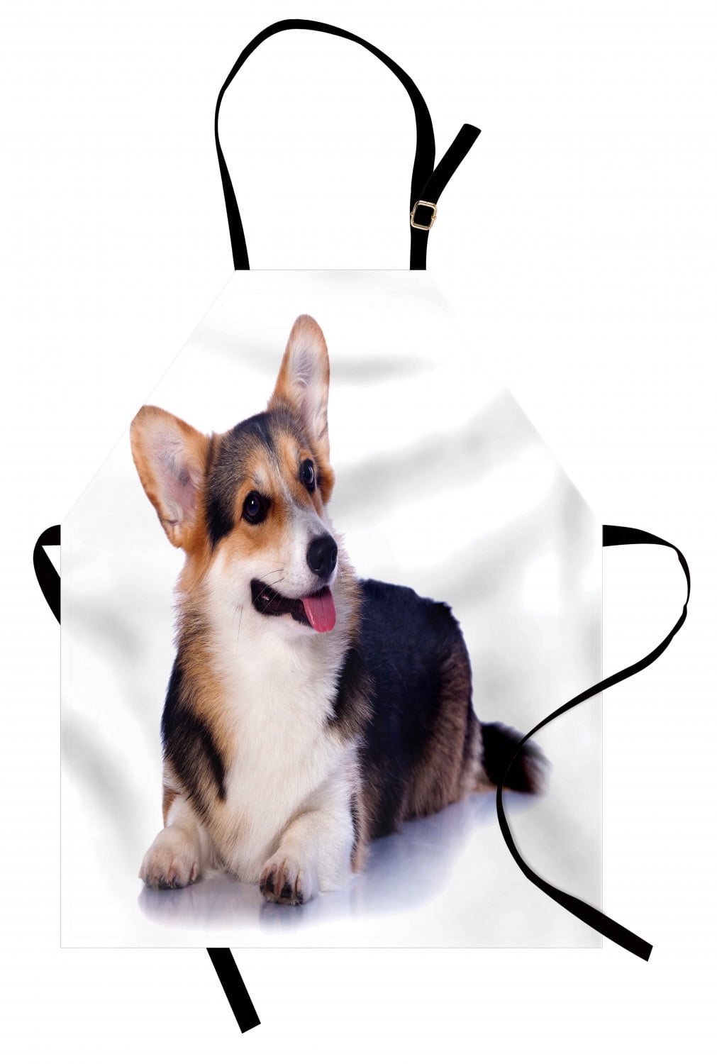 What Size Collar Does A Corgi Need