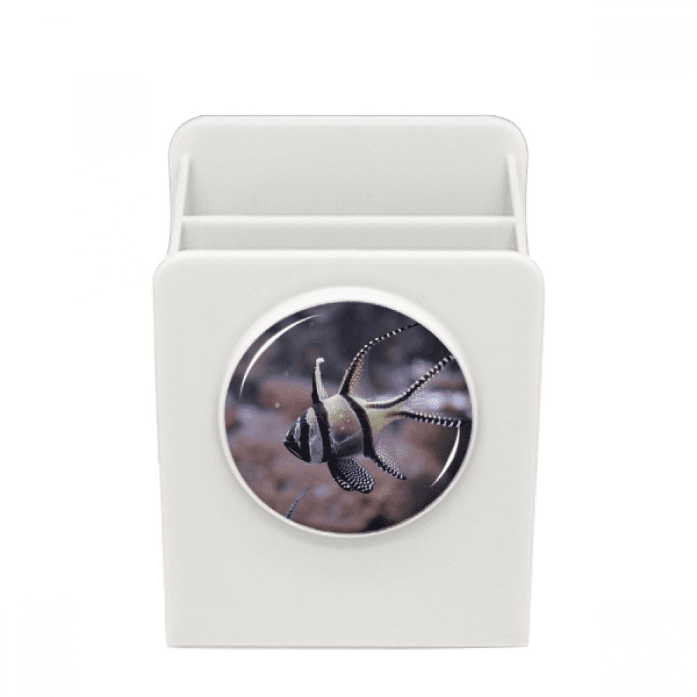 Ocean Fish Science Nature Picture Desk Pencil Holder Cup Pen Organizer ...