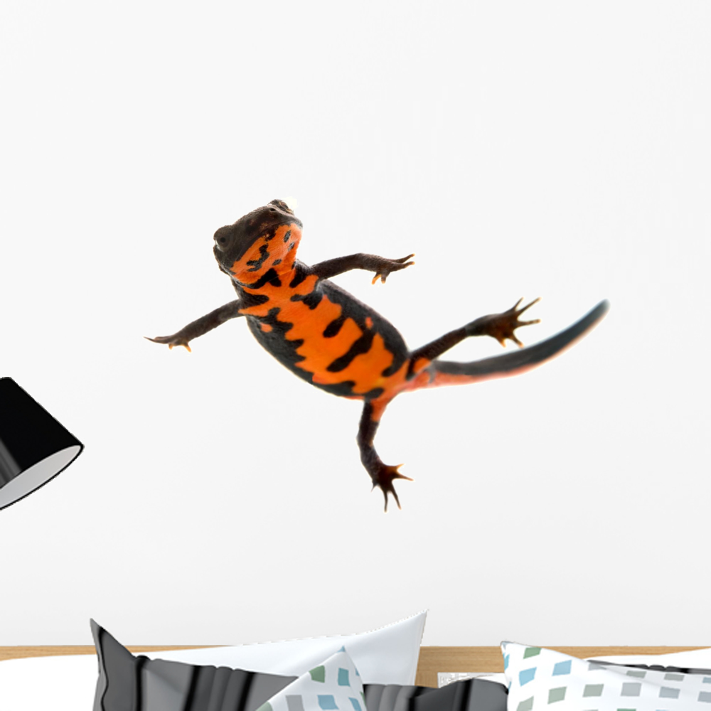 Swimming Fire Bellied Newt Wall Decal Sticker, Wallmonkeys Peel and ...