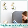 2PC Wall-Mounted Glass Vase Set, Clear Borosilicate Hanging Planter ...