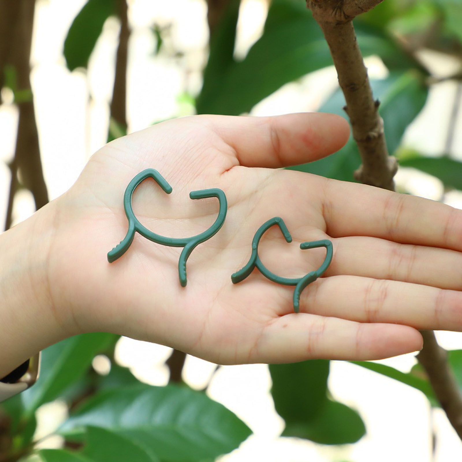 Secured Clips For Climbing 2025 New Tomato Clips Support Clips Grape ...