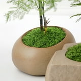 Fake Moss Artificial Plants Decorations Greenery Moss for Potted Plants ...