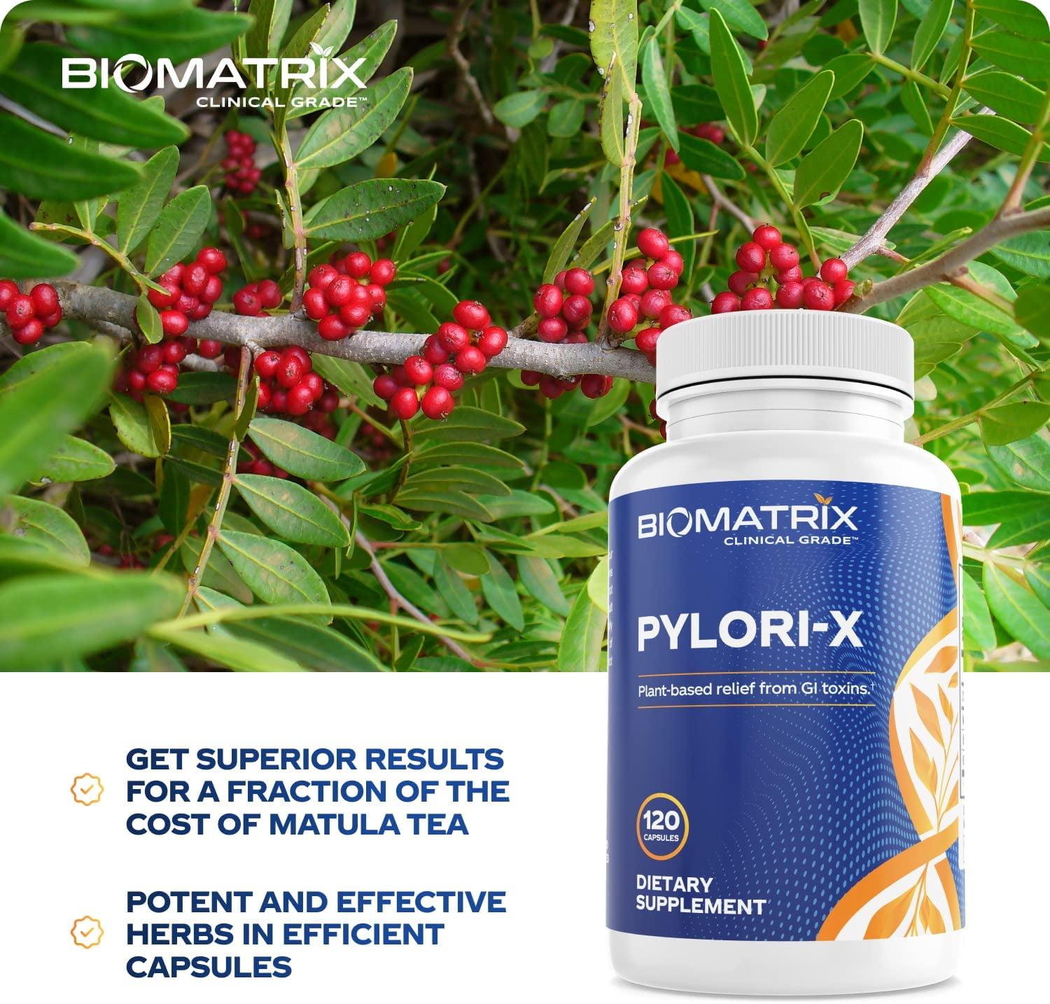 BioMatrix Pylori-x | Stomach and GI Support for H. Nepal | Ubuy