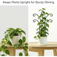 4 Pack Metal Small Plant Trellis for Potted Plants，Metal Indoor ...
