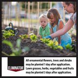 Eliminator Weed & Grass Killer II Super Concentrate Herbicide, 32 oz ...