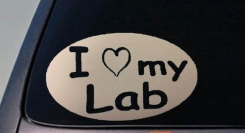 Labrador Retriever Lab Decal Sticker Car Window 6" *C405* - Walmart.com