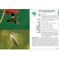Bird Identification Guides: Birds of Texas Field Guide (Paperback ...
