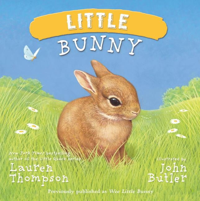 Little Bunny (Board Book) - Walmart.com