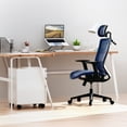 FlexiSpot Ergonomic Mesh Office Chair Swivel Height Adjustable Computer ...