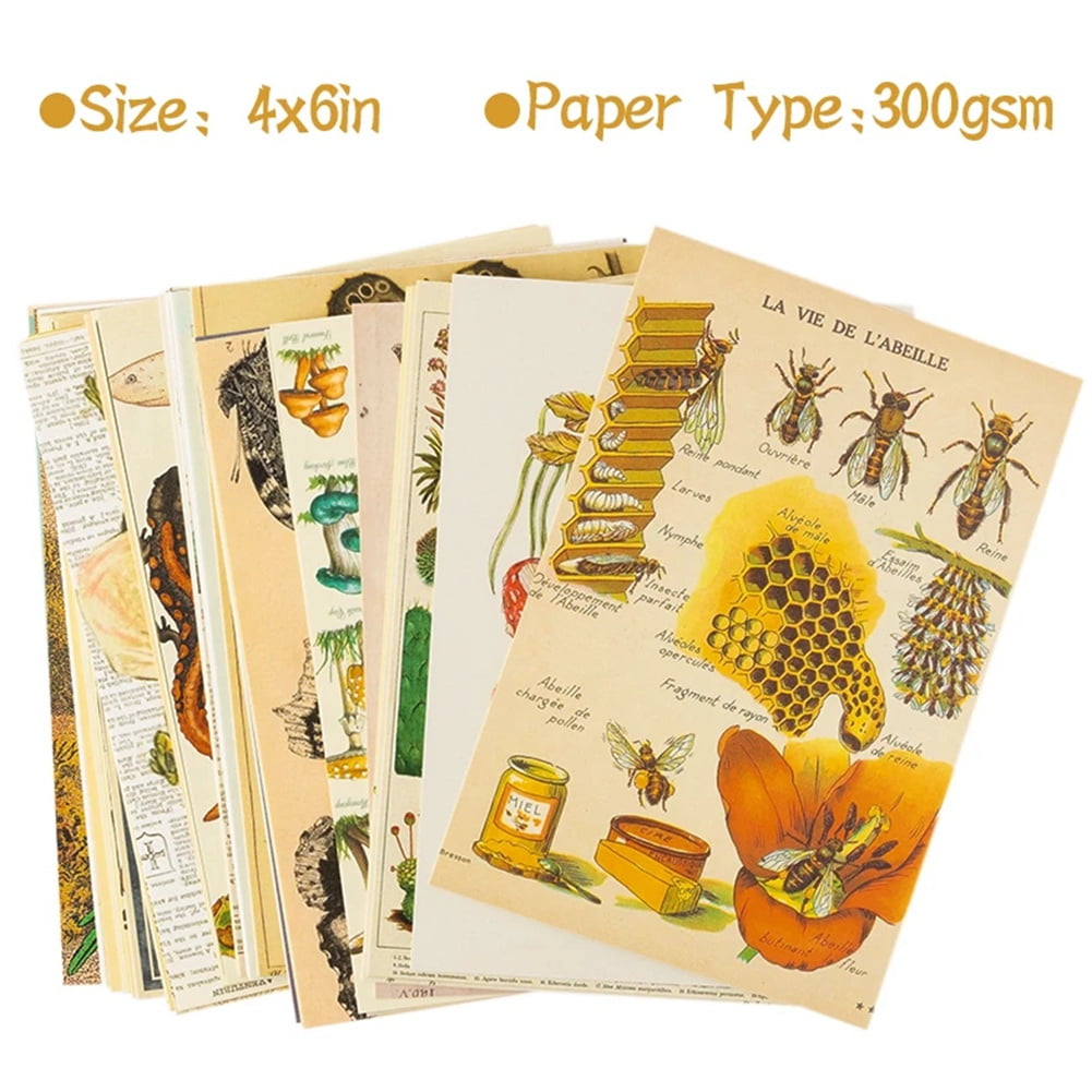 Buy 50Pcs Vintage Botanical Tarot Aesthetic Wall Collage Kit Flora ...