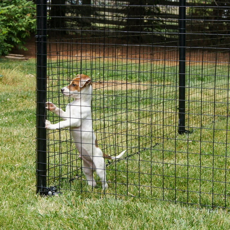 Welded Wire Fence For Dogs