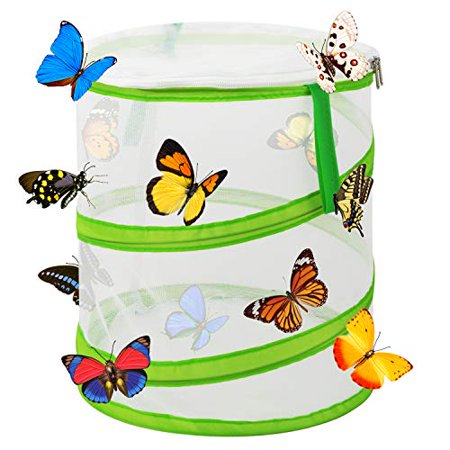 MengNi Butterfly Kit Butterfly Garden Butterfly Habitat Cage Butterfly ...