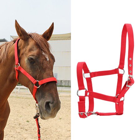 PP 6mm Thickness Replacement Horse Halter, Horse Control Bridle, For ...
