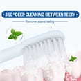 Whitening Stain Removal Toothpaste – Gum Protection & Fresh Breath Oral ...