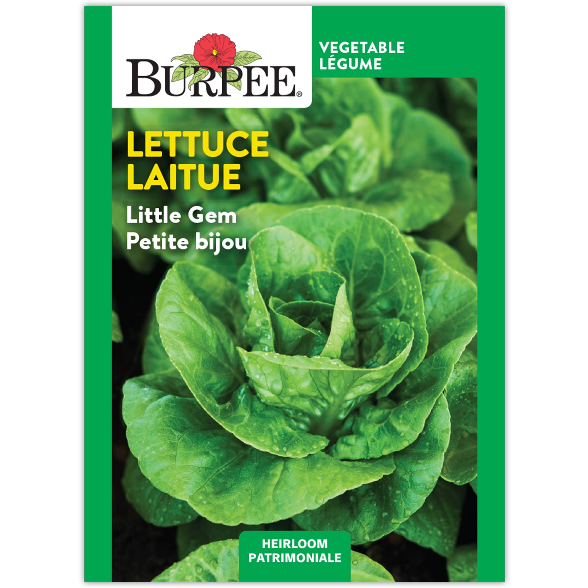 Click here for Burpee Canada Burpee Little Gem Lettuce prices