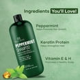 Botanic Hearth Safe Anti-Thinning Peppermint Oil Shampoo and ...